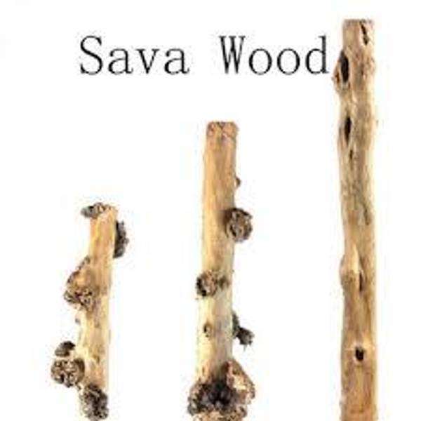 Røtter | Akvarieboden.net - Akvarieboden